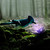 sheena-wong - Hobbyist, Digital Artist | DeviantArt