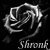 Shronk - Photographer | DeviantArt