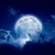 SirenNightwalker User Profile | DeviantArt