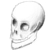 skull-in-sky - Hobbyist, General Artist | DeviantArt