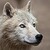 Sliverwolf104 User Profile | DeviantArt