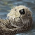 slothscrubber - Student, General Artist | DeviantArt