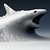 Snow-Shark User Profile | DeviantArt