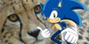 SonicCheetah DeviantArt Gallery