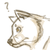 Spaz-Attack13 - Hobbyist, General Artist | DeviantArt