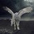 stories-from-me User Profile | DeviantArt