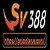sv388grupolarue User Profile | DeviantArt