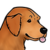 Taghaza-Kennel User Profile | DeviantArt