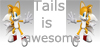 Tails-Is-Awesome Blog | DeviantArt