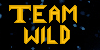 Team-Wild | DeviantArt