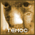 temoc-photo User Profile | DeviantArt
