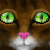 terimy - Hobbyist, General Artist | DeviantArt