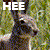 that-redneck-rabbit User Profile | DeviantArt