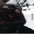 vivivirus User Profile | DeviantArt