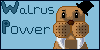 Walrus-Power | DeviantArt