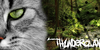 Warriorcats-Thunder | DeviantArt