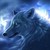 Wolfking164 User Profile | DeviantArt