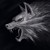 wolfking1908 User Profile | DeviantArt