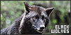 WolvesForever | DeviantArt