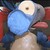 ZoomerTube - Hobbyist, Digital Artist | DeviantArt